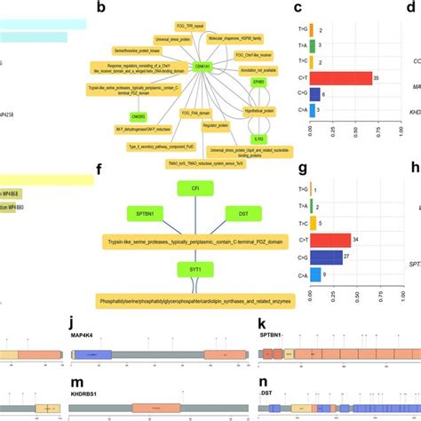 differential gene expression and pathway analysis a an upsetr plot of