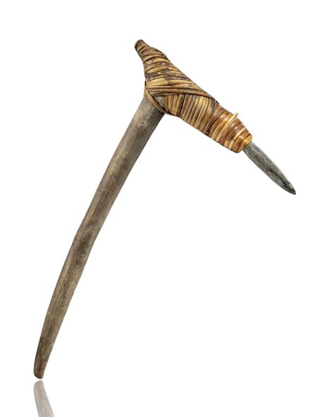 Wood And Stone Adze Cassera Gallery