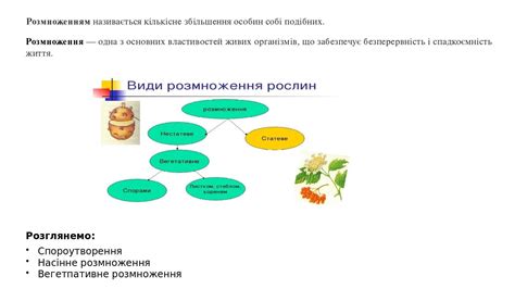 Практична робота «Розмноження рослин Пізнаємо природу