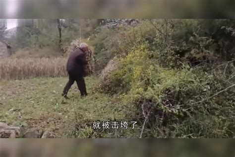 很多人没有查出得病时一点事都没有可查出后不久就走了