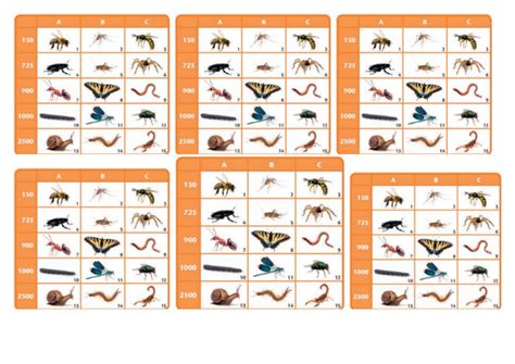 5 Unit 3 Torpedo Game Pdf