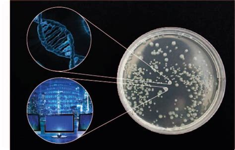 Dna Disease And Datasets The Big And Small Of Health Technology Pint Of Science
