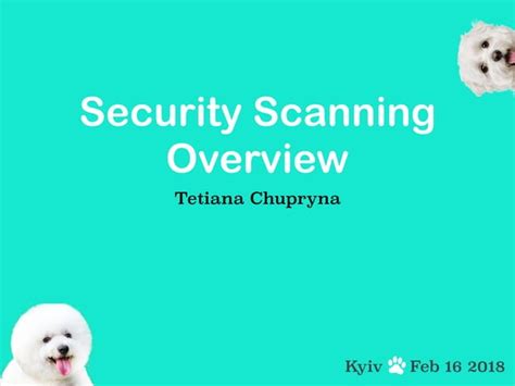 Security Scanning Overview Tetiana Chupryna Rus Ruby Meditation