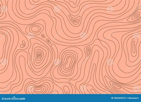 Topographic Map Landscape Terrain Texture Grid Abstract White