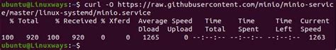 How To Install Minio S3 Compatible Object Storage On Ubuntu 2004 Vitux