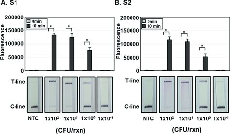 Sensitivity Of Sftsv Detectr Different Concentration Of Lentiviruses Download Scientific