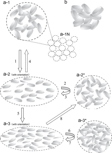 Schematic Representations Of Model Microstructures For Aqueous Download Scientific Diagram