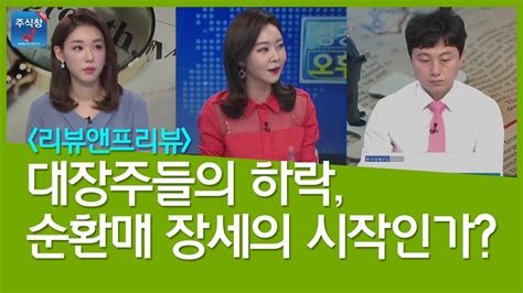 주식투자 이슈진단대장주들의 하락 순환매 장세의 시작인가 Youtube