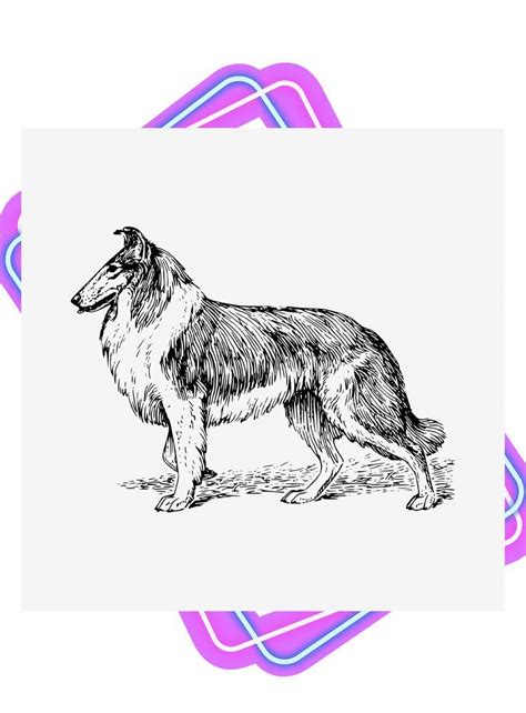 Lassie Neon Merch Design