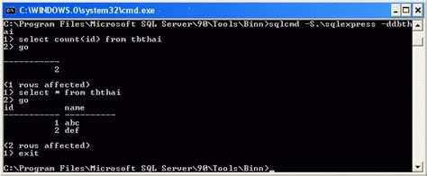 Odbc Sql Server Express 2005 Datagridview