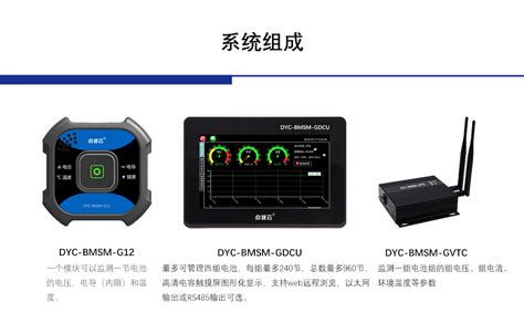 DYC BMSM G12蓄电池在线监测系统 深圳市点越科技有限公司