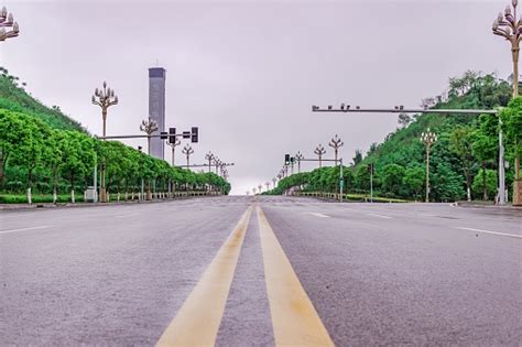 밝은 하늘 아래 노란색 선 표지판 신호등 및 나무가있는 빈 거리의 낮은 각도 샷 0명에 대한 스톡 사진 및 기타 이미지 0명 거리 교통 Istock