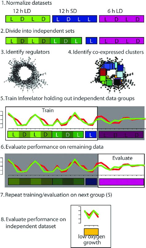 Overview Of Predictive Model Construction And Cross Validation Download Scientific Diagram