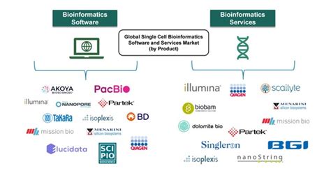 Bioinformatics Is An Integrative Field That Creates Methods And Software Tools