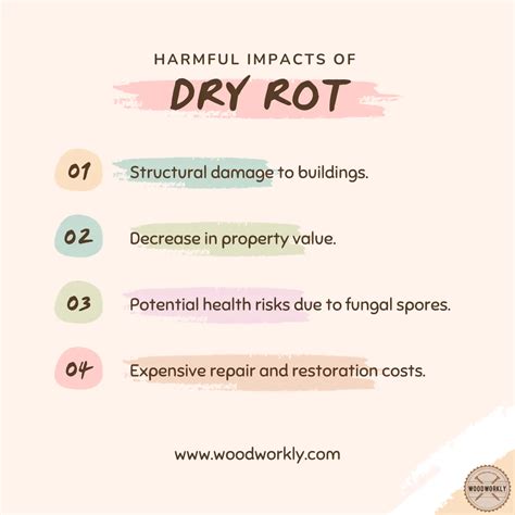 How To Tell If Wood Is Rotten Signs And Easy Fixes 2024