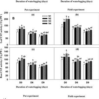 Influence Of Duration Of Waterlogging And Nitrogen Application On The Download Scientific
