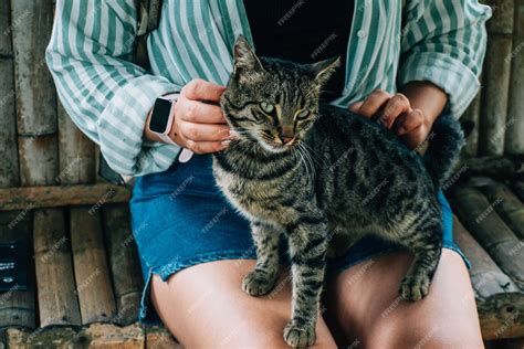Um Lindo Gato No Colo De Uma Menina Um Gato Brincalhão Com Pêlo Cinza Listrado O Gato Tem Olhos