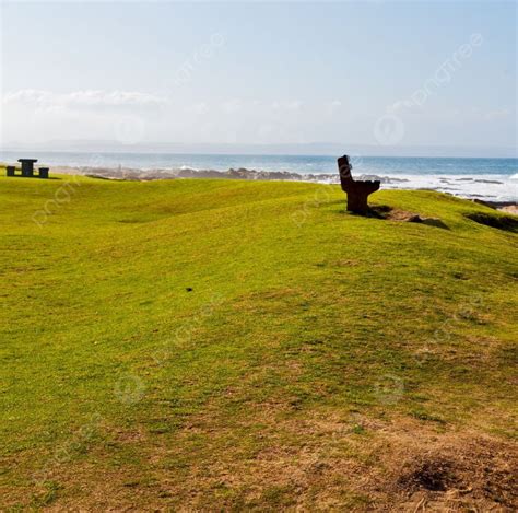 흐림 사진 배경 및 무료 다운로드를위한 그림 Pngtree