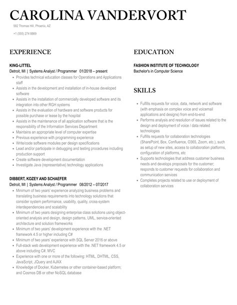 Systems Analyst Programmer Resume Samples Velvet Jobs