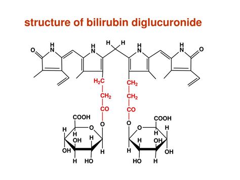 Ppt Chapter 16 Powerpoint Presentation Free Download Id3387638