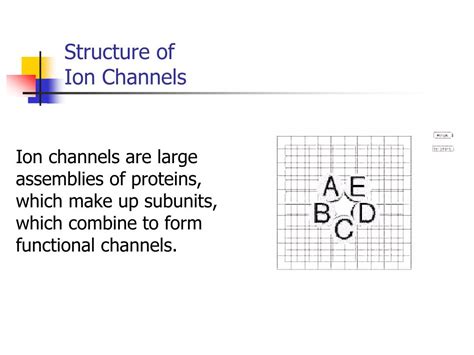 PPT Understanding Drug Action On Ion Channels PowerPoint Presentation ID