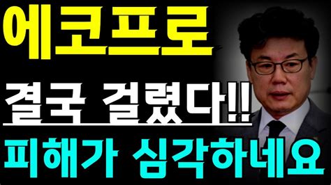 에코프로그룹🚨속보 에코프로비엠 포스코홀딩스 에코프로주가전망 실시간 삼성전자 서정덕tv 박순혁 에코프로 주식 에코프로비엠주가전망 기봉이주식tv