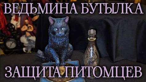 ВЕДЬМИНА БУТЫЛКА. ЗАЩИТА ПИТОМЦЕВ. ДЛЯ ВСЕХ. - YouTube