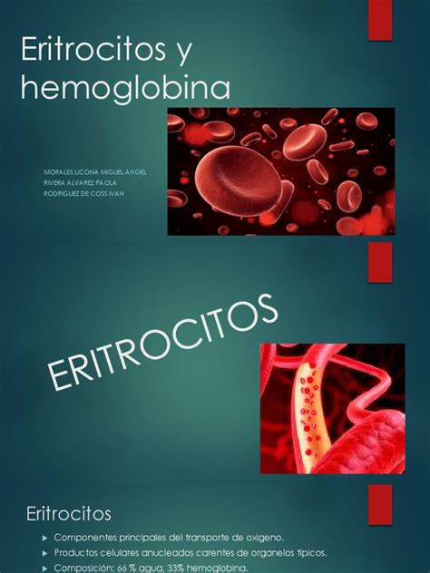 Eritrocitos Y Hemoglobina Pdf Glóbulo Rojo Hemoglobina