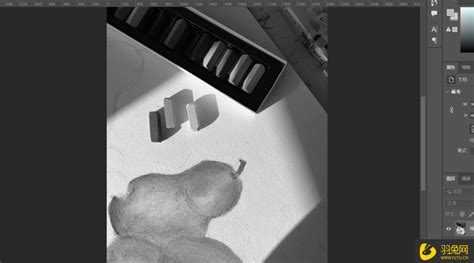 Ps灰度：图像处理中的实用技巧 羽兔网