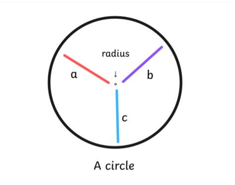What Is An Ellipse Shape Teaching Wiki Twinkl