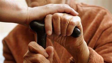 Ахмад настны тухай хуулийн өөрчлөлт хэрэгжиж эхэллээ