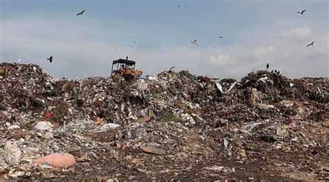 22 Lakh Tonnes Of Legacy Waste Processed At Delhis Three Landfills
