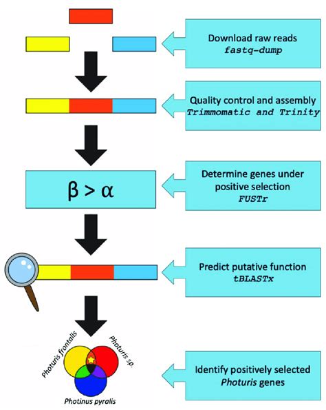 Graphical Workflow Of Computational Methods The Specific Programs Used