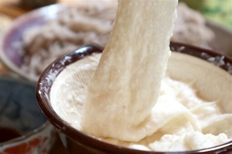 長芋、山芋、自然薯の違い。とろろになるのはどのお芋？ トリビアーノ