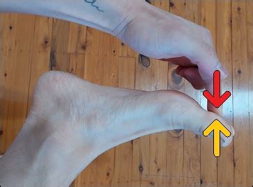 Exercises To Fix Flexor Hallucis Longus Tendonitis Posture Direct