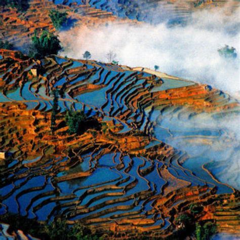 Yuan Hui Fudan University Shanghai Center For Historical