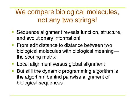 Ppt Pairwise Alignment Of Dnaprotein Sequences Powerpoint Presentation Id4561346