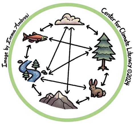 Interconnectedness Climate Lit