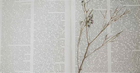 PythonPlotlyの描画手法まとめFigure Trace Layout さとぶろぐ