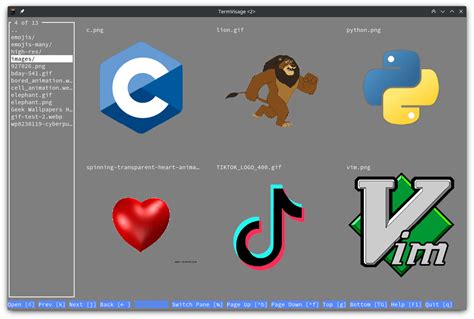 Github Anonymoux Termvisage Browse And View Images In The Terminal Mostly A Front End To
