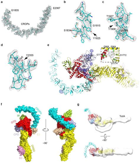 crystal structure of the tcdb 5d e3 7f complex and the representative