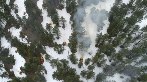 Forest Fire Detection Object Detection Dataset And Pre Trained Model By