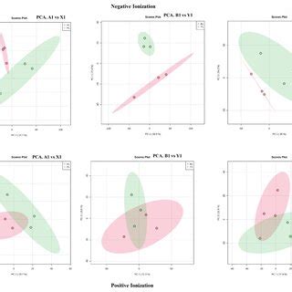 PCA Scores Plot Showing Statistically Significant Unsupervised Download Scientific Diagram