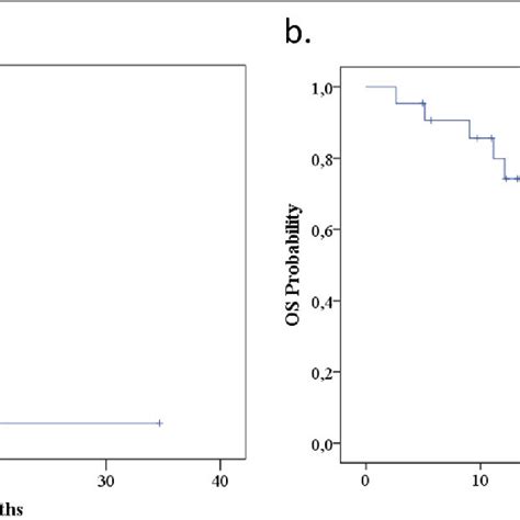 Univariate Analysis Of Progression Free Survival Download Scientific