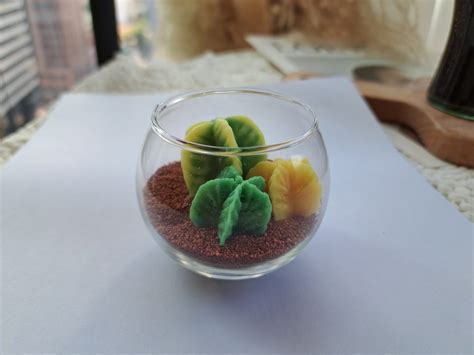 多肉植物小擺設 港瘋