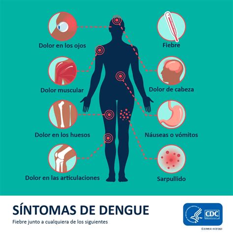 Síntomas Del Dengue Y Pruebas De Detección Cnn Veracruz