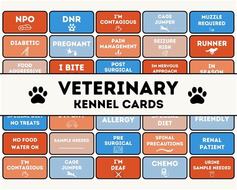 Veterinary Cage Cards Printable Veterinary Kennel Cards Digital Print Vet Cage Alert Cards
