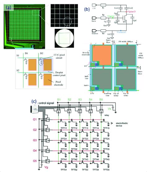 Reported Tft Array Circuits In Dmf Chips A Image Layout And Pixel Download Scientific