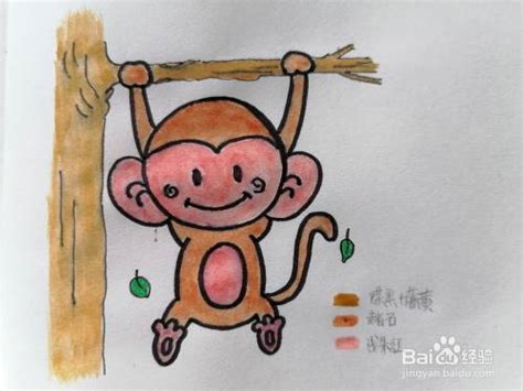 猴子爬树简笔画 猴子爬树简笔画彩色 苗苗知道