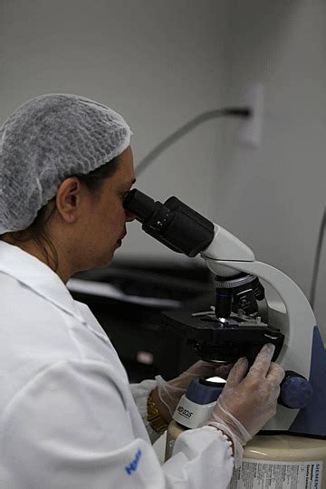 Actinomyces Disease Under The Microscope 100x Pathology Histology Examination Photo Background